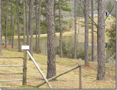 melissa sews: Favorite Places: Pine Level, AL